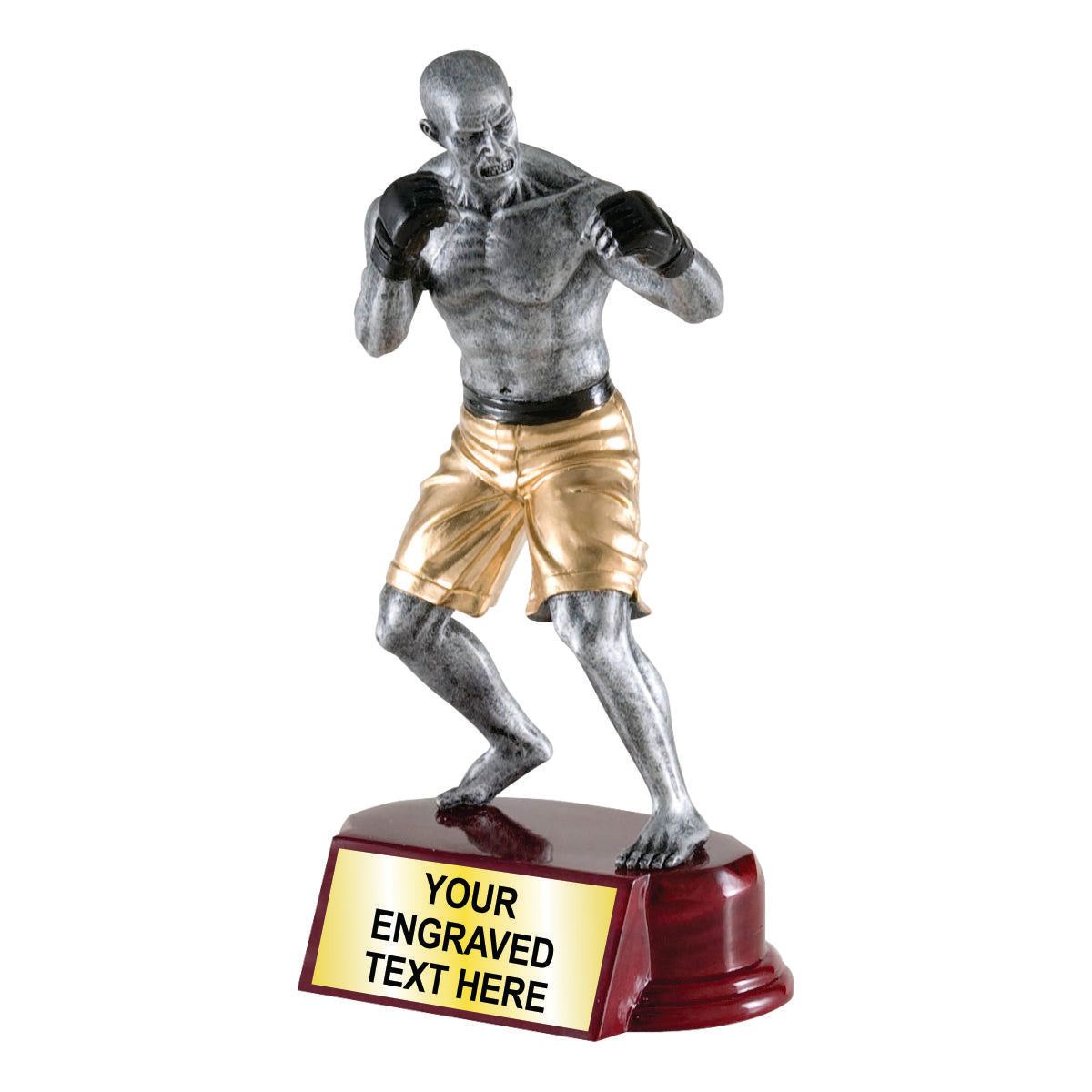 MMA Trophy — Action Awards